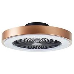 Brilliant LED Deckenleuchte "Slimline", gold (schwarz goldfarben), &Oslash; 49cm H: 14cm, 1 Stk., Leuchten, LED Deckenleuchte, Ventilator, ICRGB, CCT, 49 cm, 4700 lm, 3000-6500 K, LED Deckenleuchte