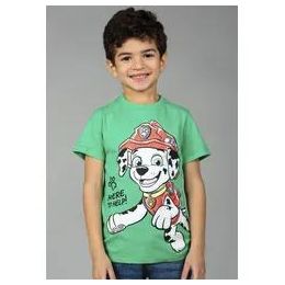 T-Shirt PAW PATROL "PAW PATROL", Jungen, Gr. 98, gr&uuml;n (blarney), Obermaterial: 100% Baumwolle, Basic, regular fit h&uuml;ftbedeckend, Rundhals, abgesteppte Kante, Shirts T-Shirt, mit coolem, gro&szlig;en Frontmotiv