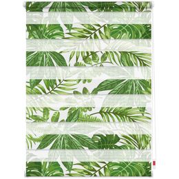 Doppelrollo LICHTBLICK ORIGINAL "Duo Rollo Motiv Blätter" Gr. 4, grün, B:80cm H:150cm, Polyester, Rollos, bedruckt