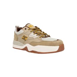Sneaker DC Shoes "DC Ascend", Gr. 7(39), braun (braun, gum), Obermaterial: Leder (Kuh) / Futter: Textil / Außensohle: Gummi, Schuhe