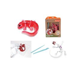 Simba Experimentierset ''Dissect-It - Salamander'' - ab 6 Jahren - 10% | Experimentieren-spielzeug