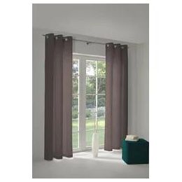 Vorhang ADAM "Uni Collection" Gr. 2, braun (dunkelbraun), B:145cm H:175cm, Jacquard, Baumwolle (Bio-Baumwolle), Gardinen, aus 100% Bio-Baumwolle