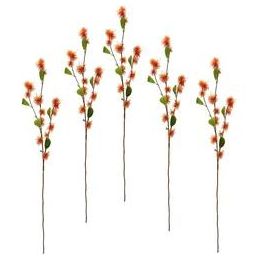 Kunstblume I.GE.A. "Zaubernuss", orange, B:20cm H:100cm, Obermaterial: 93% Kunststoff, 7% Polyester, Kunstpflanzen, 5er Set