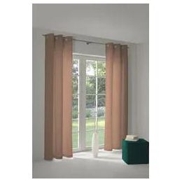 Vorhang ADAM "Uni Collection" Gr. 3, braun, B:145cm H:225cm, Jacquard, Baumwolle (Bio-Baumwolle), Gardinen, aus 100% Bio-Baumwolle