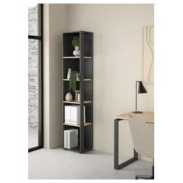 Regal Inosign "Sign Ablageregal, Aktenregal, Bücherregal, Standregal, Wandregal", grau (matt grau, jackson hickory), B:79,6cm H:204,7cm T:34,3cm, Spanplatte, Regale, schmal mit 4 Einlegeböden, zu 2 Seiten offen, Eckregal