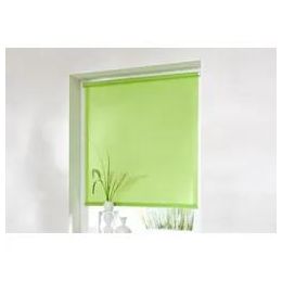 Seitenzugrollo K-home "Thermo Klemmfix-Rollo" Gr. 5, grün (apfelgrün), B:80cm H:150cm, Polyester, Rollos, 1 Stück