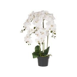 Beliani Kunstpflanze ORCHID in Grün/Weiß - (W) 28 x (H) 63 x (L) 28 cm | Gr.: onesize
