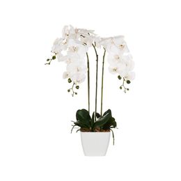 Beliani Kunstpflanze ORCHID in Grün/Weiß - (W) 22 x (H) 59 x (L) 22 cm | Gr.: onesize