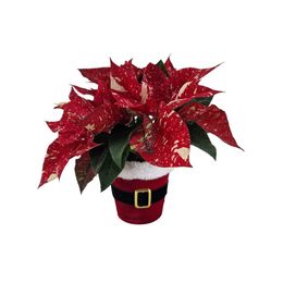 MeinVIPShop Weihnachtsstern New Glitter mit Übertopf 35cm | Gr.: onesize