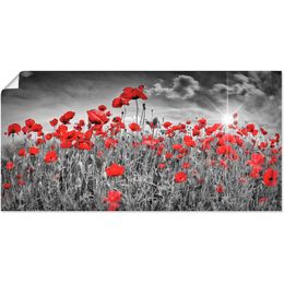 Artland Wandbild »Idyllisches Mohnblumenfeld mit Sonne« 1 Stk. tlg. als Alubild, Outdoorbild, Leinwandbild, Poster, Wandaufkleber Farbe Bild(er):...