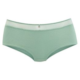 Nuance Panty Damen Gr&ouml;&szlig;e XXL gr&uuml;n