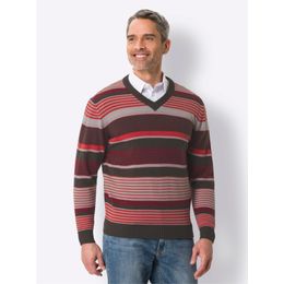 V-Ausschnitt-Pullover
