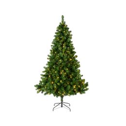 Kaemingk Tannenbaum 180cm mit LED Lichterkette IMPERIAL KIEFER