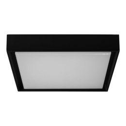 Brumberg Leuchten LED-Wandleuchte 830, schwarz, IP54 60108183 aus Metall, 60108183)