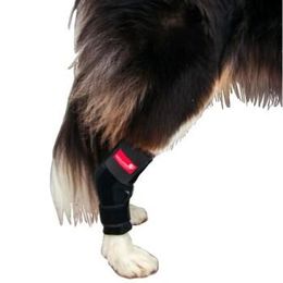 HerzensTier Sprunggelenkbandage Neopren M