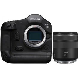 Canon EOS R1 + RF 85mm f2 MACRO IS STM