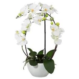 Kunstpflanze Creativ green "Phalaenopsis", weiß, H:52cm, Keramik, Kunststoff, Kunstpflanzen