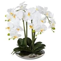 Kunstorchidee Creativ green "Deko-Orchidee Phalaenopsis in Keramikschale", weiß, B:28cm H:41cm T:30cm, Obermaterial: 95% Polyethylen, 5% Polyester, Kunstpflanzen