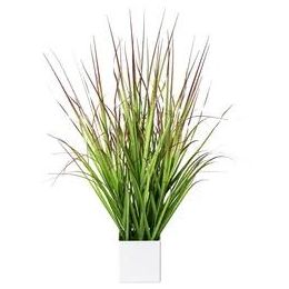 Kunstgras Creativ green "Blutgras", grün (grün, rot), B:15cm H:61cm, Kunststoff, Kunstpflanzen, im weißen Kunststofftopf