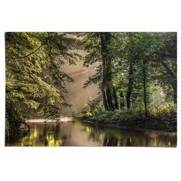 Poster Reinders "Lichtspiel am Waldsee", grün (farbe bild(er): grün), B:91,5cm H:61cm, Papier, Bilder