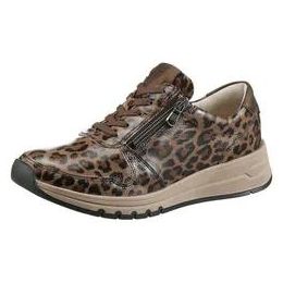 Waldläufer Keilsneaker WALDLÄUFER "H-APRIL", Damen, Gr. 5,5 (38,5), beige (taupe, leo), Lackleder, Nubukleder, animal-print, glänzend, Schuhe, Bequemschuh, Halbschuh, Schnürschuh in Komfortweite H (= sehr weit)