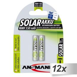 12x2 Ansmann maxE NiMH Akku Micro AAA 550 mAh SOLAR