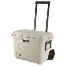 Coleman Pro 55qt K&uuml;hlbox
