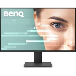 BenQ GW2491