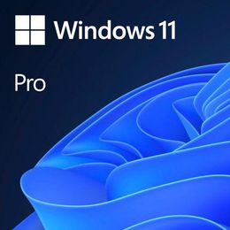 Microsoft Windows 11 Pro 64bit
