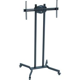 Reflecta TV Stand 55P schwarz