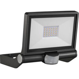 Steinel XLED ONE SENSOR ANT LED-Strahler