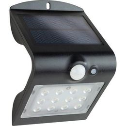 REV Solar LED Butterfly mit Bewegungsmelder 1,5W schwarz