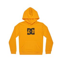 DC Shoes Jungen DC Shoes Kapuzensweatshirt &raquo;DC Star&laquo; gelb 12(148-156cm)