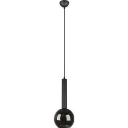 Trio LEUCHTEN Pendelleuchte "Clayton", schwarz (schwarz matt), 1, Ø 20cm H: 150cm, 1 Stk., Leuchten, Hängelampe höhenverstellbar bis 150cm, Glas rauchfarbig, exkl 1xE27
