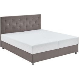 Boxbett "CELIA im hochwertiger Samtoptik", grau (taupe), B:182cm L:209cm, ATLANTIC HOME COLLECTION, Komplettbetten, mit Taschen-Federkernmatratze, Bettkasten und Strass-Steinen
