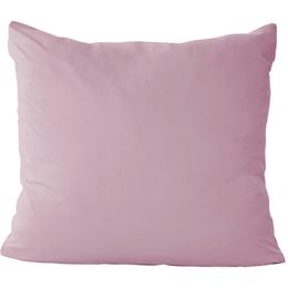 Kissenbezug Primera "Primera Mako-Feinjersey Kissenbezug im Doppelpack", lila (mauve), B:80cm L:80cm, Feinjersey, Obermaterial: 100% Baumwolle, Kissenbezüge, In vielen Uni-Tönen