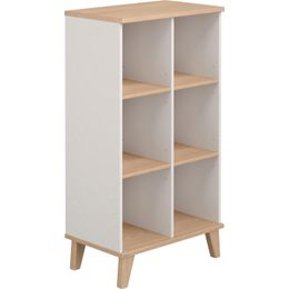 Standregal Paidi "FIENE in Grau mit 6 offenen Fächern, 66x120x40cm", grau (kieselgrau, scandinavian wood), B:120cm H:66cm T:40cm, Regale, stabiles und langlebiges Regal aus Holz, geprüfte Qualität