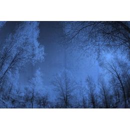 Fototapete ARCHITECTS PAPER "Atelier 47 Forest Glade 1", blau (dunkelblau, schwarz, hellblau), B:4m L:2,7m, Vlies, Tapeten, Vlies, Wand, Schräge, Decke