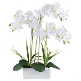 Kunstorchidee Creativ green "Orchidee Phalaenopsis", weiß, H:58cm, Kunststoff, Kunstpflanzen, mit Graszweigen arrangiert
