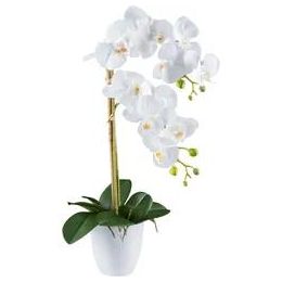 Kunstorchidee Creativ green "Orchidee Phalaenopsis", weiß, H:56cm, Kunststoff, Kunstpflanzen, mit real-touch-Blüten