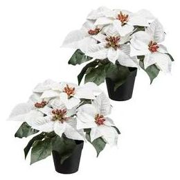 Winterliche Kunstpflanze Creativ green "Weihnachtsstern", weiß, H:26cm, Kunststoff, Kunstpflanzen, mit üppigem Blütenwerk