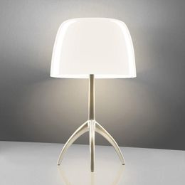 Foscarini Lumiere Tischleuchte, FN026001EH_11,