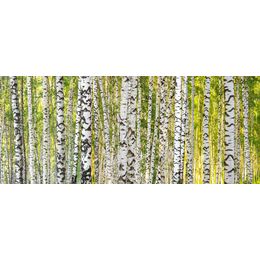 Fototapete ARCHITECTS PAPER "Birch Forest", bunt (braun, gr&uuml;n, wei&szlig;), B:6m L:2,5m, Vlies, Tapeten, Vlies, Wand, Schr&auml;ge