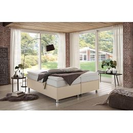 Boxspringbett "London", vanille, B:200cm L:200cm, Westfalia Schlafkomfort, Komplettbetten