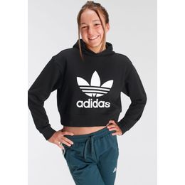 Kapuzensweatshirt adidas originals "ADICOLOR CROPPED HOODIE", Kinder, Gr. 170, schwarz, Obermaterial: 70% Baumwolle, 30% Polyester. Kapuzenfutter: 100% Baumwolle, Sweatshirts