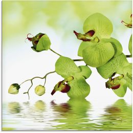 Glasbild Artland "Schöne Orchidee mit grünem Hintergrund", grün (farbe bild(er): grün), B:20cm H:20cm, Bilder, in verschiedenen Größen