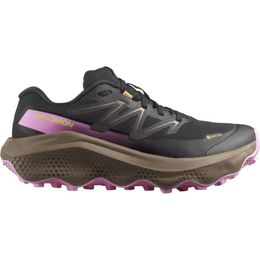 Salomon Ultra Flow 2 GTX Schuhe Damen schwarz 39.3
