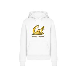 Kapuzenpullover F4NT4STIC "Berkeley CAL Pocket", Herren, Gr. L, weiß, Obermaterial: 65% Baumwolle, 35% Polyester, slim fit, Pullover, Official Merch