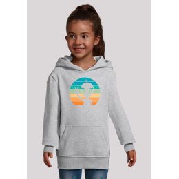 Kapuzenpullover F4NT4STIC "Alien Piece Sonnenuntergang", Jungen, Gr. 110/116, erdgrau, Obermaterial: 65% Baumwolle, 35% Polyester, relaxed fit, Pullover, Premium Qualität