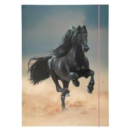 folia PAPER Sammelmappe "Black horse" in Bunt - 26% | Buero-schulbedarf